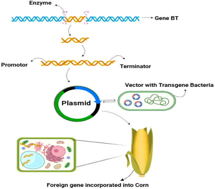 A review on regulatory aspects, challenges and public perception in ...