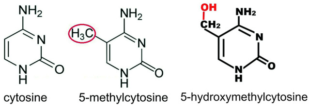 Figure 1.