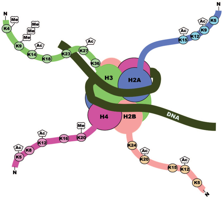 Figure 7.
