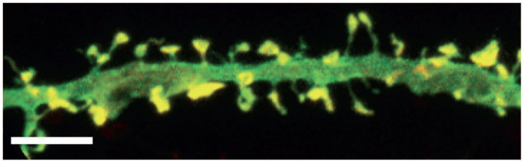 Figure 9.