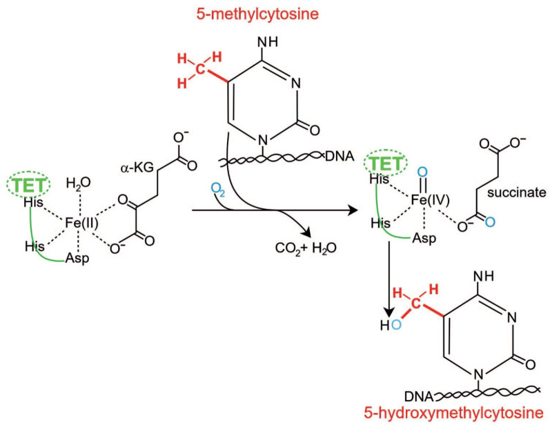Figure 6.