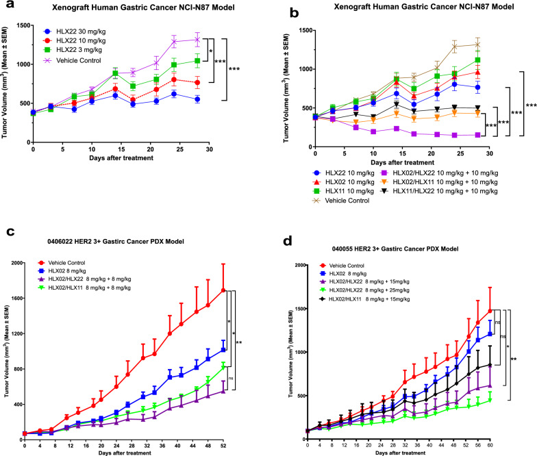 Dual targeting non-overlapping epitopes in HER2 domain IV substantially enhanced HER2/HER2 ...