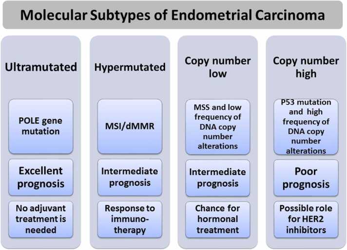 Correlation of PD-L1 immunohistochemical expression with microsatellite instability and p53 ...
