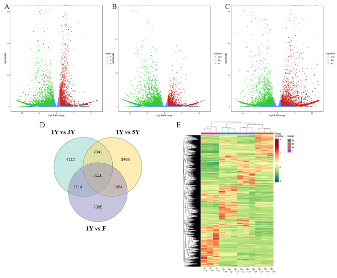 Integrative analyses of metabolome and transcriptome reveal the dynamic accumulation and ...