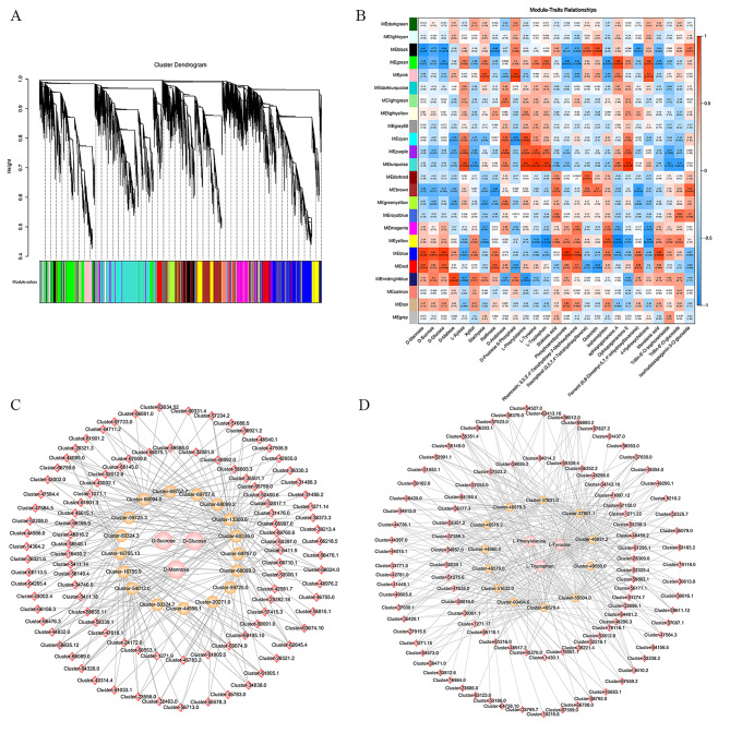 Integrative analyses of metabolome and transcriptome reveal the dynamic accumulation and ...
