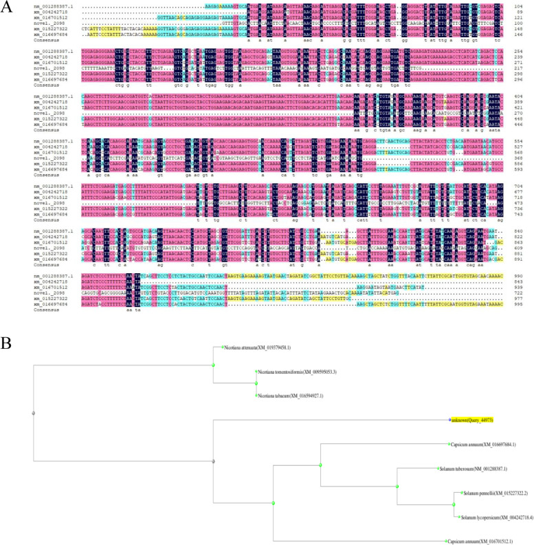 Anthocyanins accumulation analysis of correlated genes by metabolome and transcriptome in green ...