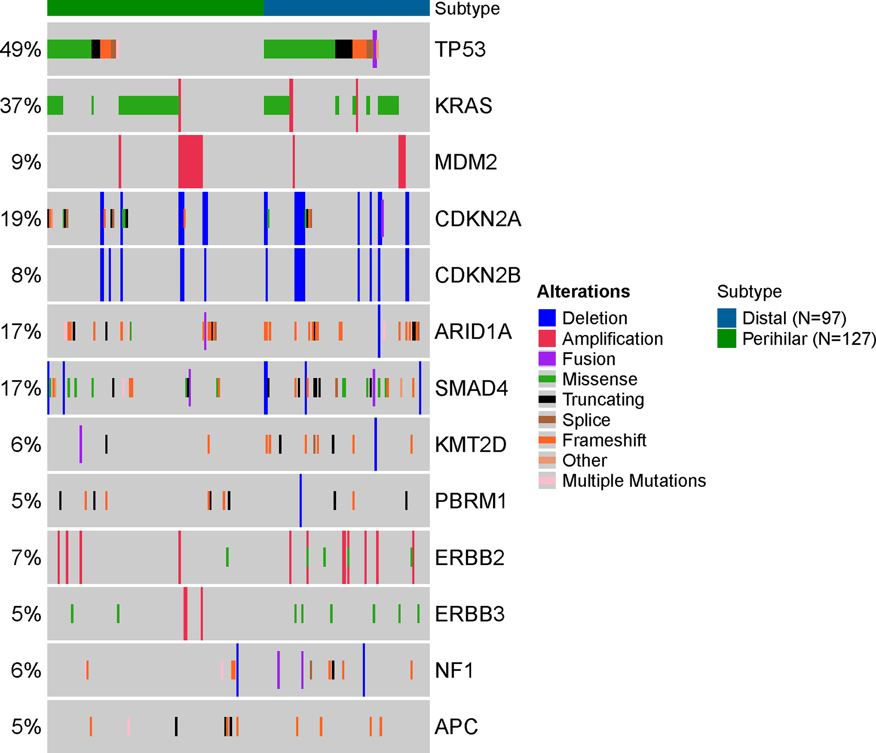 Extrahepatic Cholangiocarcinoma: Genomic Variables Associated with Anatomical Location and ...