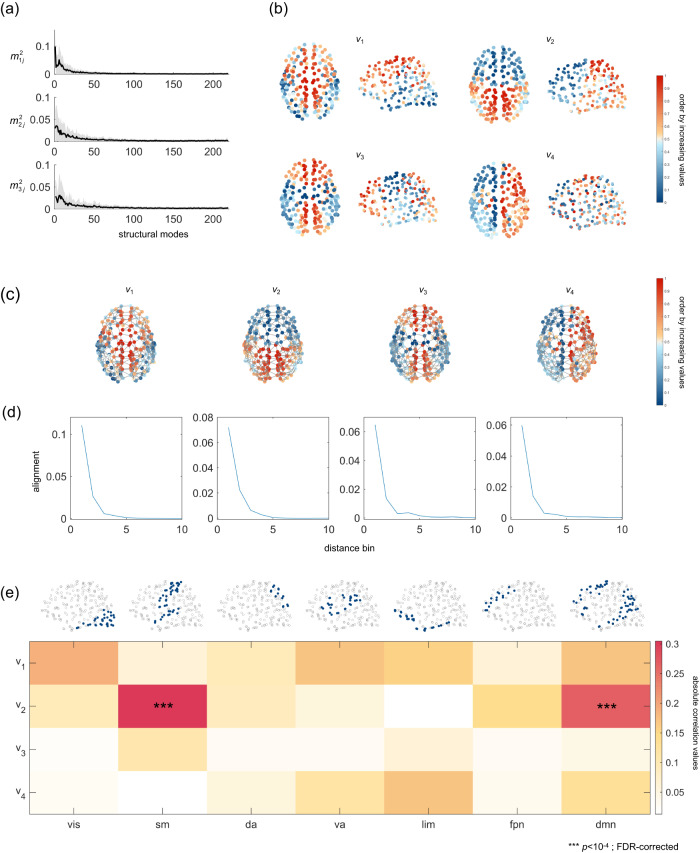 Eigenmode-based approach reveals a decline in brain structure–function liberality across the ...