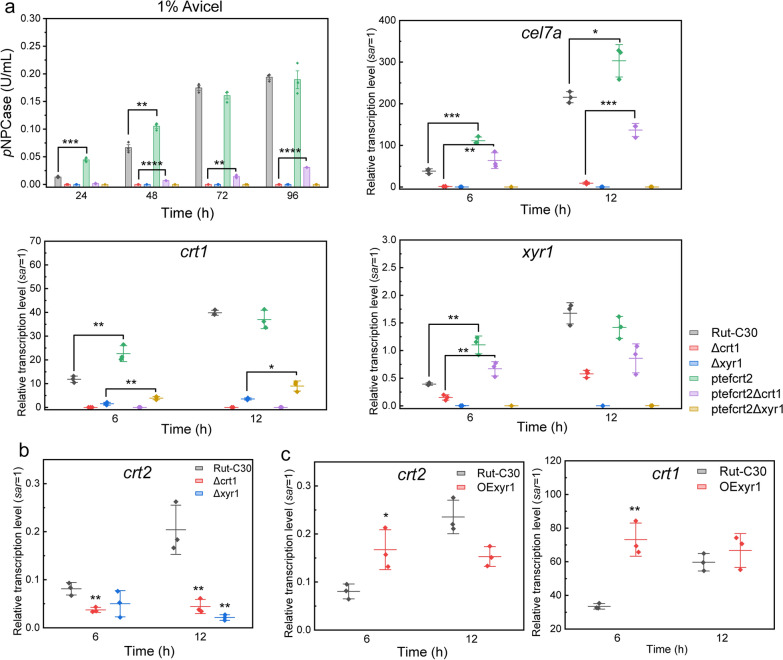 Role of cellulose response transporter-like protein CRT2 in cellulase induction in Trichoderma ...