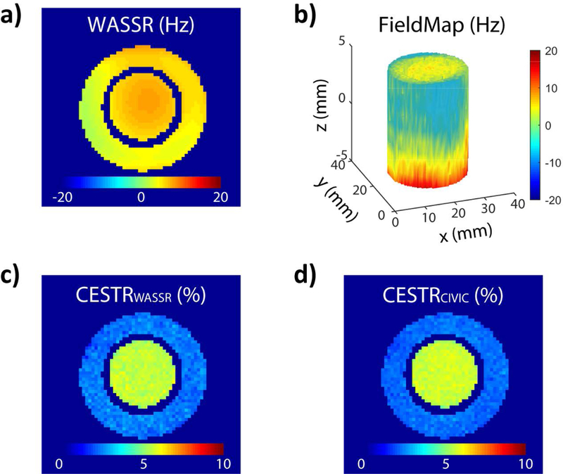 Development of intravoxel inhomogeneity correction for chemical exchange saturation transfer ...