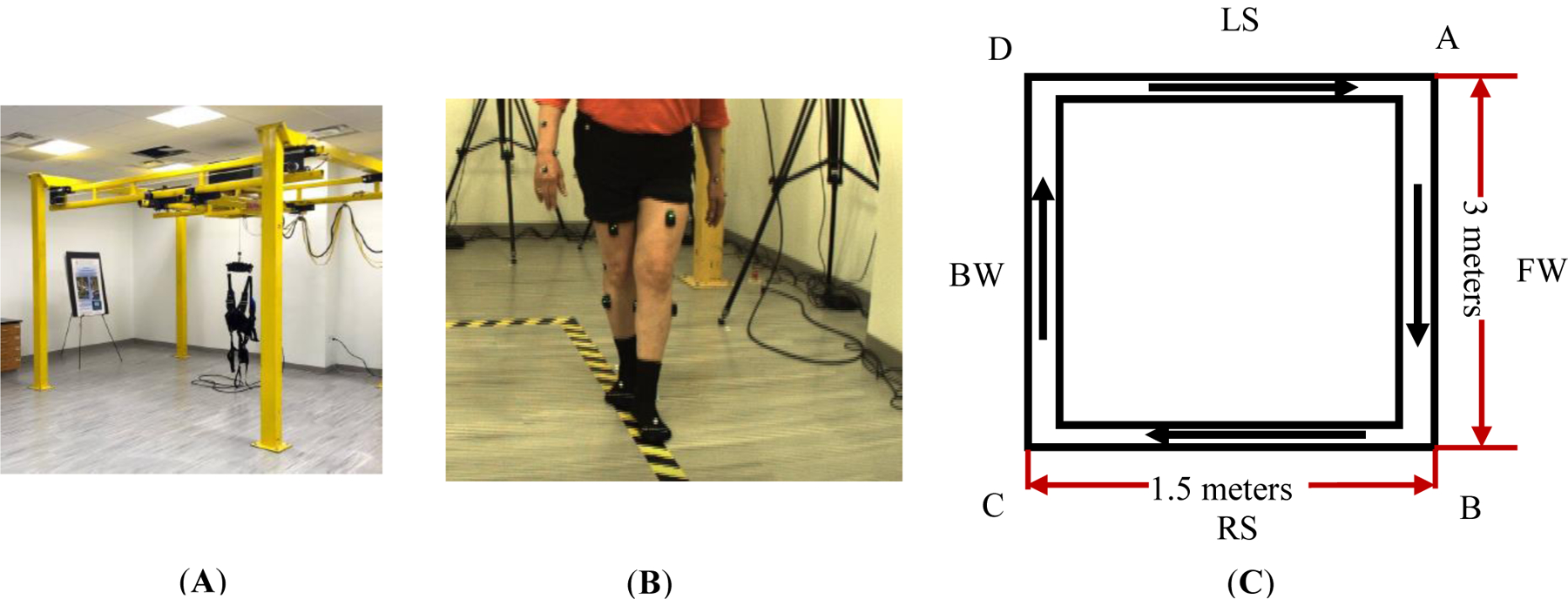 Motion Analysis of Balance Pre and Post Sensorimotor Exercises to Enhance Elderly Mobility: A ...