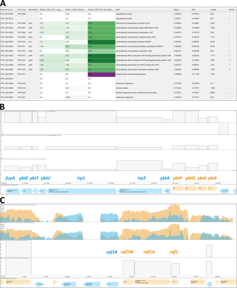 Yersiniomics, a Multi-Omics Interactive Database for Yersinia Species - PMC