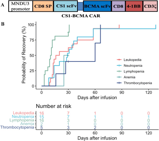 Bispecific CS1-BCMA CAR-T cells are clinically active in relapsed or refractory multiple myeloma ...