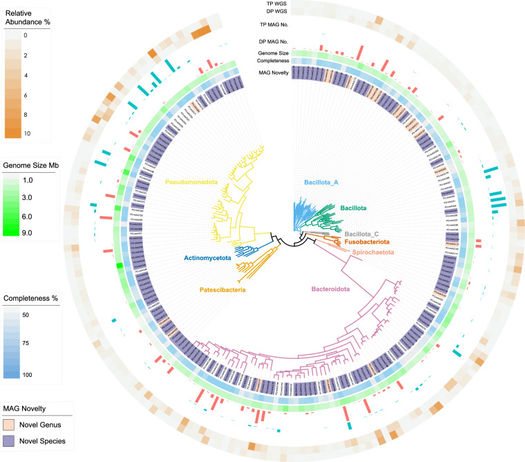 Metagenome-assembled microbial genomes (n = 3,448) of the oral microbiomes of Tibetan and Duroc ...