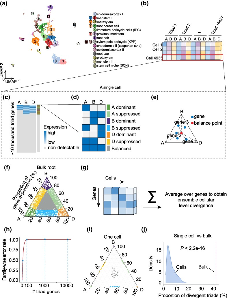 A Quantitative Computational Framework for Allopolyploid Single-Cell Data Integration and Core ...