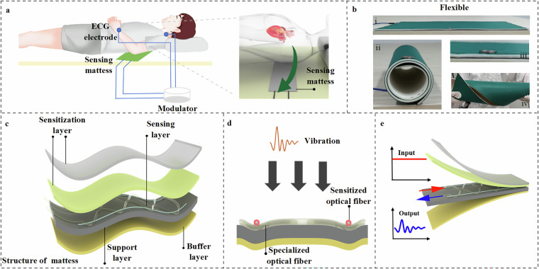 A Multi-Pathology Ballistocardiogram Dataset for Cardiac Function Monitoring and Arrhythmia ...