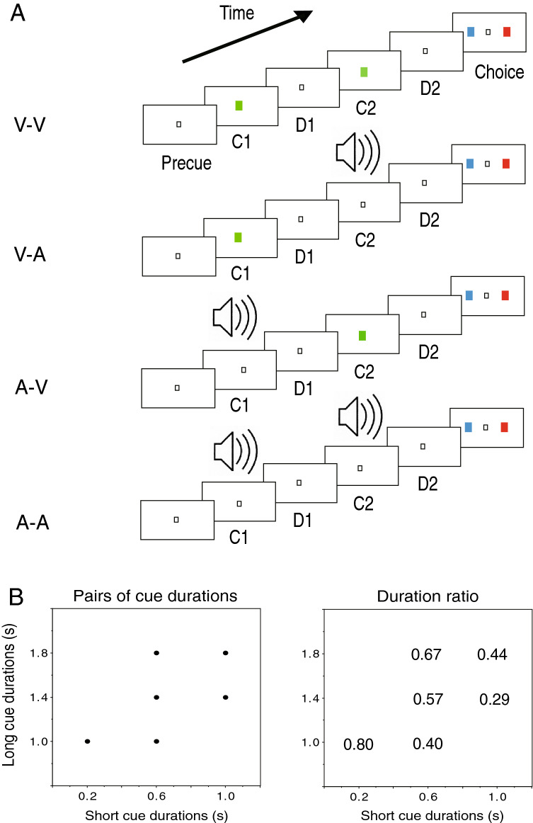 Neuronal activity in the monkey prefrontal cortex during a duration discrimination task with ...