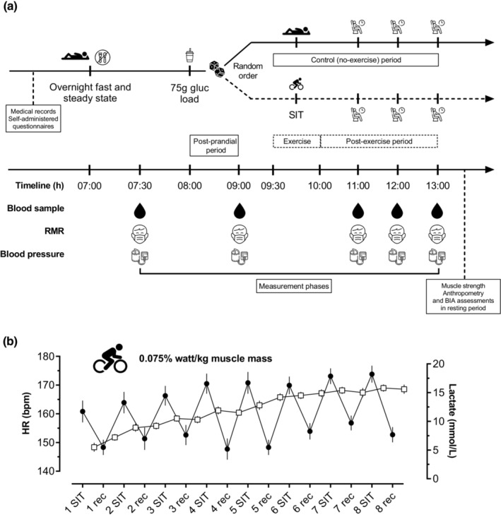Metabolic responses to acute sprint interval exercise training performed after an oral 75‐gram ...