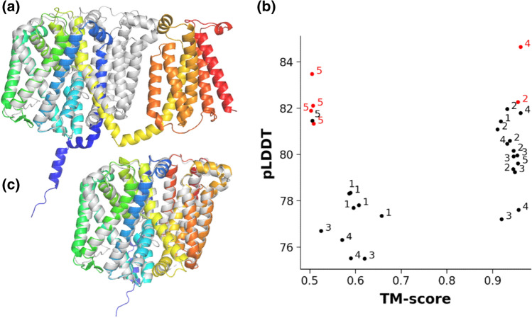 Ins and outs of AlphaFold2 transmembrane protein structure predictions - PMC