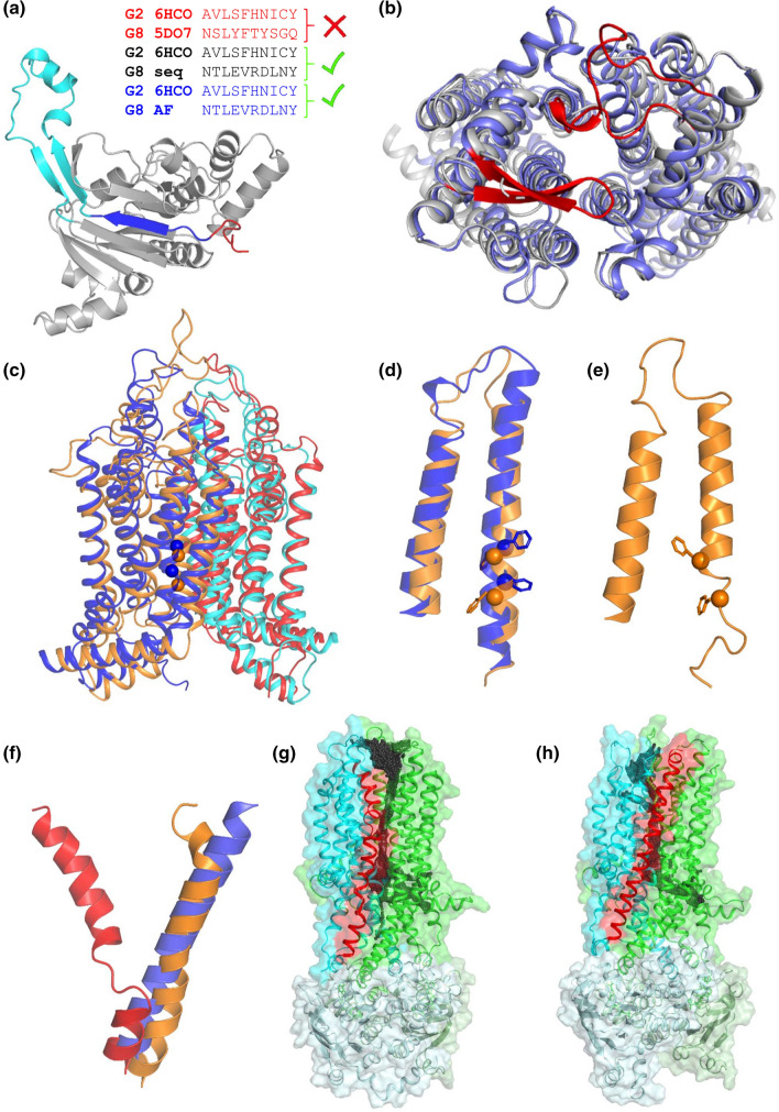 Ins and outs of AlphaFold2 transmembrane protein structure predictions - PMC
