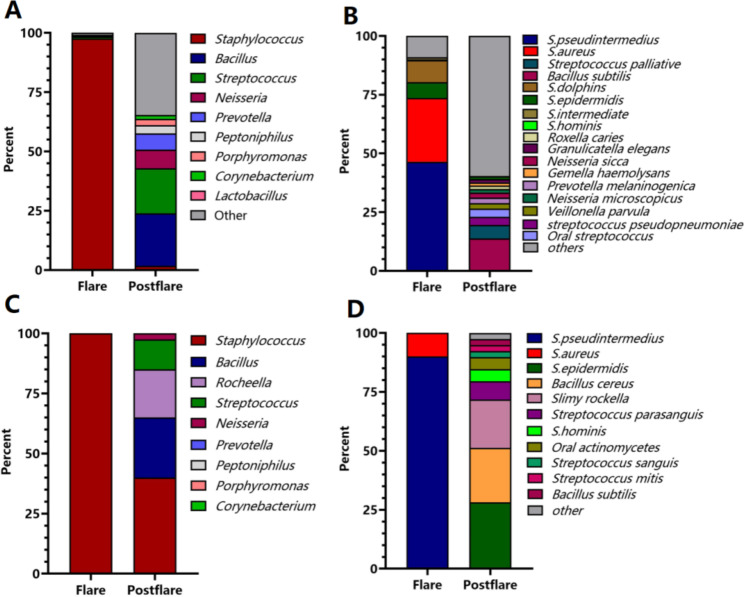 Cheilitis in an atopic dermatitis patient associated with co-infection of Staphylococcus ...