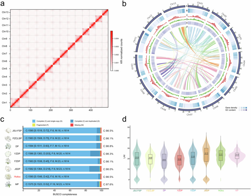Integrated multi-omics analysis unravels the floral scent characteristics and regulation in ...