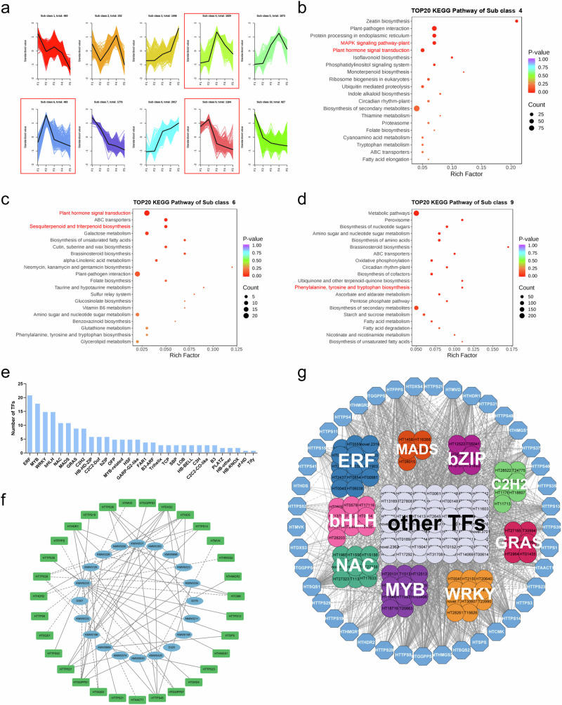 Integrated multi-omics analysis unravels the floral scent characteristics and regulation in ...