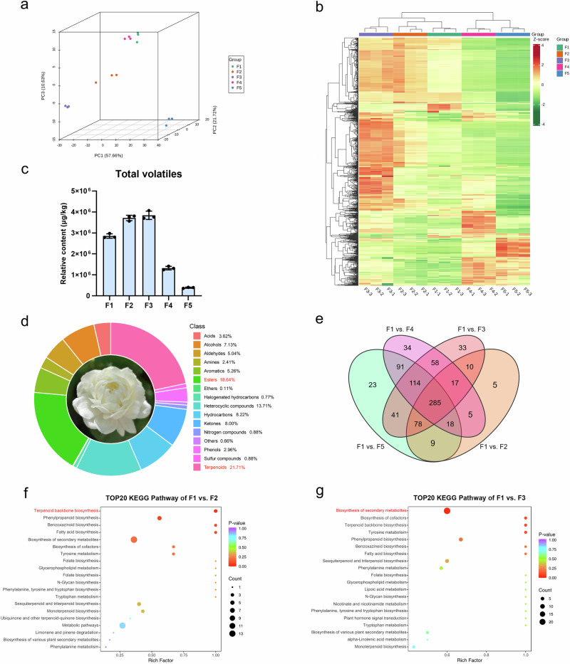 Integrated multi-omics analysis unravels the floral scent characteristics and regulation in ...