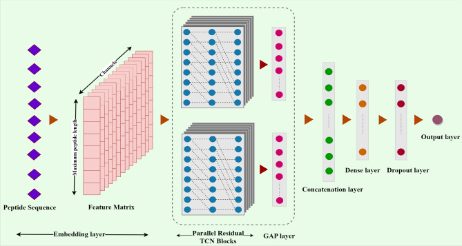 A separable temporal convolutional networks based deep learning technique for discovering ...