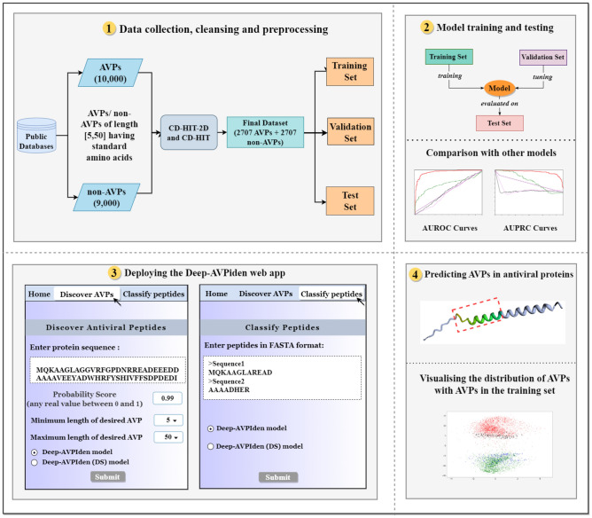 A separable temporal convolutional networks based deep learning technique for discovering ...
