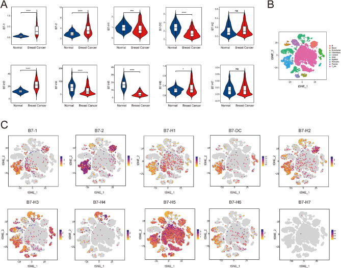 Comprehensive characterization of B7 family members in breast cancer ...