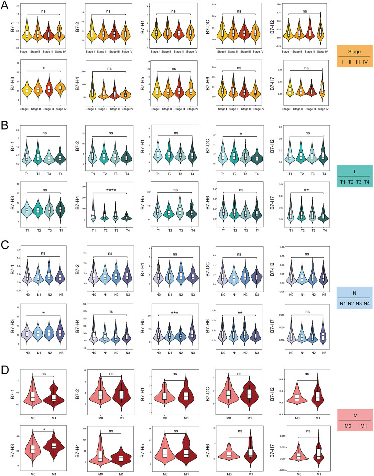 Comprehensive characterization of B7 family members in breast cancer ...