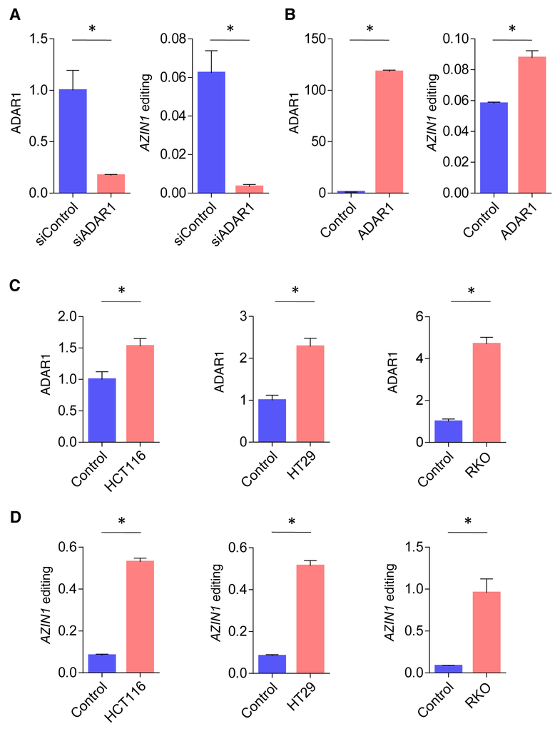 Activation of AZIN1 RNA editing is a novel mechanism that promotes ... Activation of AZIN1 RNA editing is a novel mechanism that promotes ...