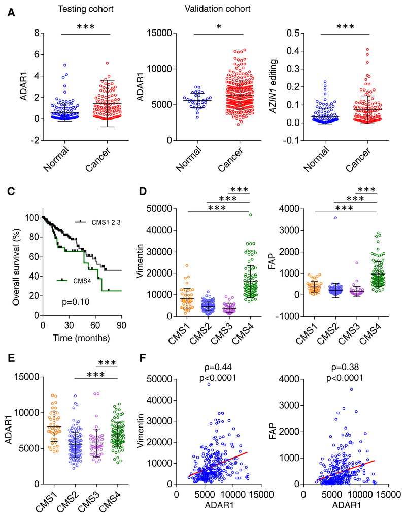 Activation of AZIN1 RNA editing is a novel mechanism that promotes ... Activation of AZIN1 RNA editing is a novel mechanism that promotes ...