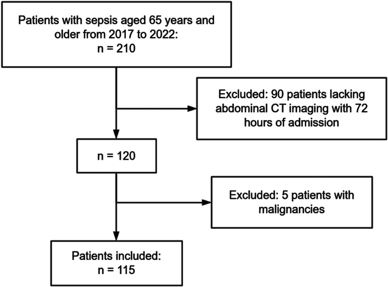 CT parameters of psoas muscle predicts 28-day mortality in older ...