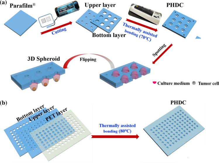 Cutting and Bonding Parafilm® to Fast Prototyping Flexible Hanging Drop Chips for 3D Spheroid ...