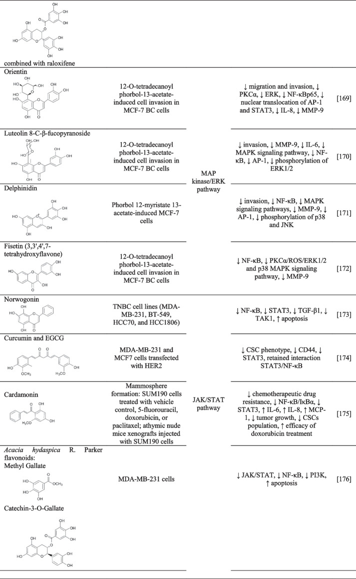 Cell plasticity modulation by flavonoids in resistant breast carcinoma targeting the nuclear ...