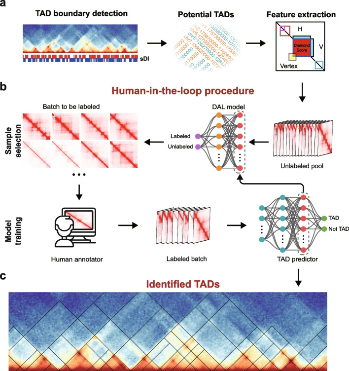 Htad A Human In The Loop Framework For Supervised Chromatin Domain Detection Pmc