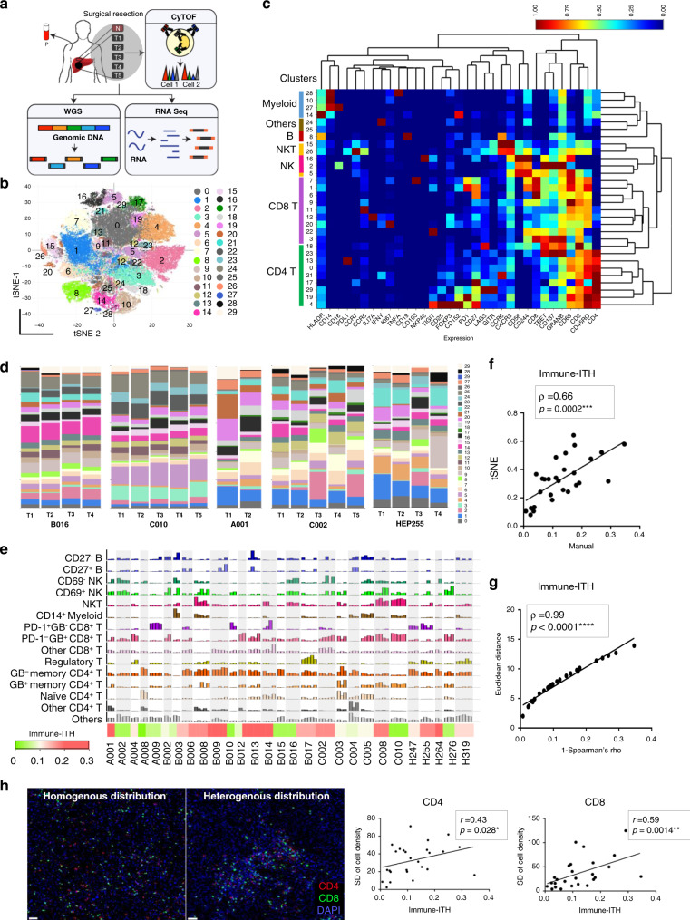 Intratumoural immune heterogeneity as a hallmark of tumour evolution and progression in ...