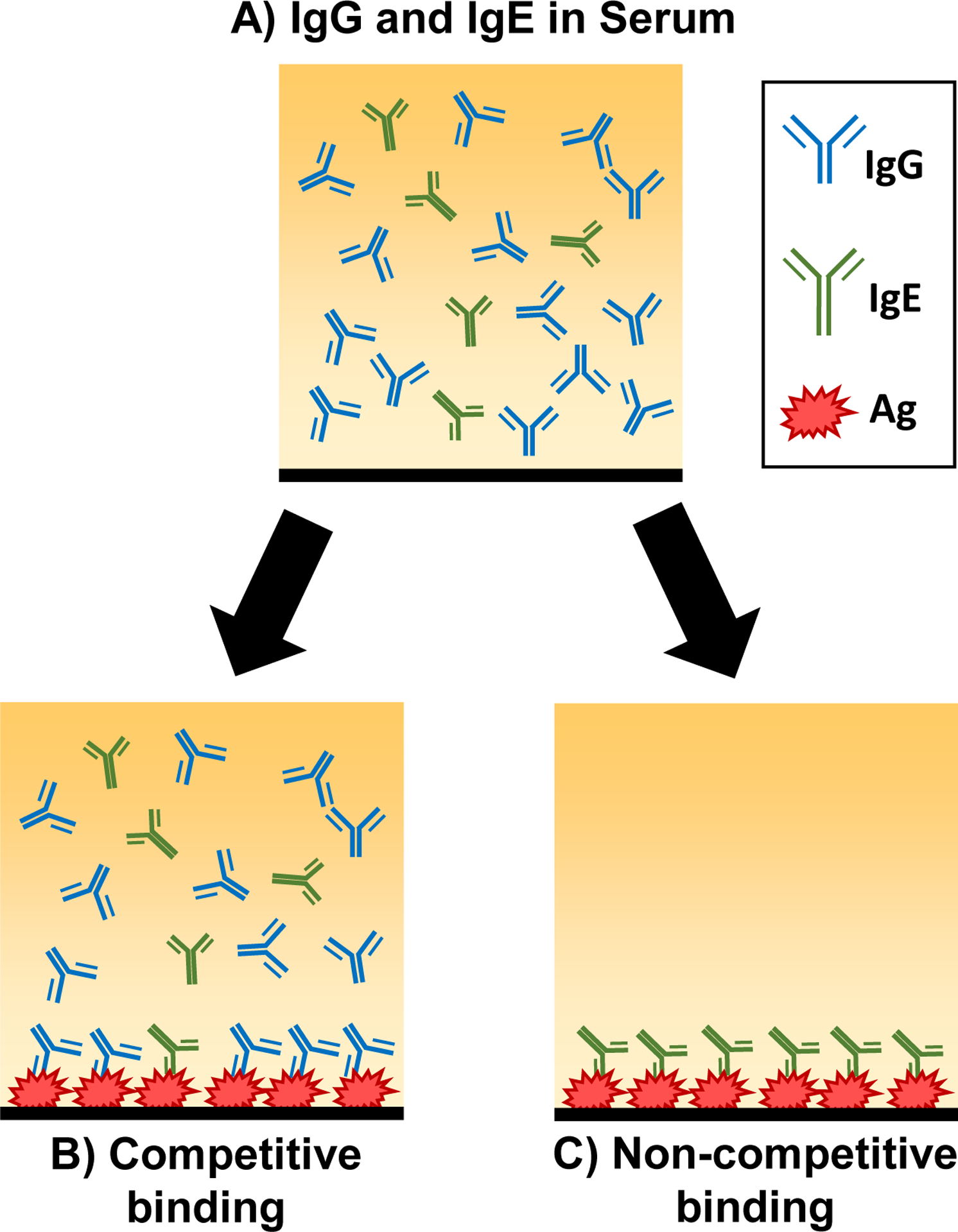 Isotype-specific detection of serum immunoglobulins against allergens - PMC