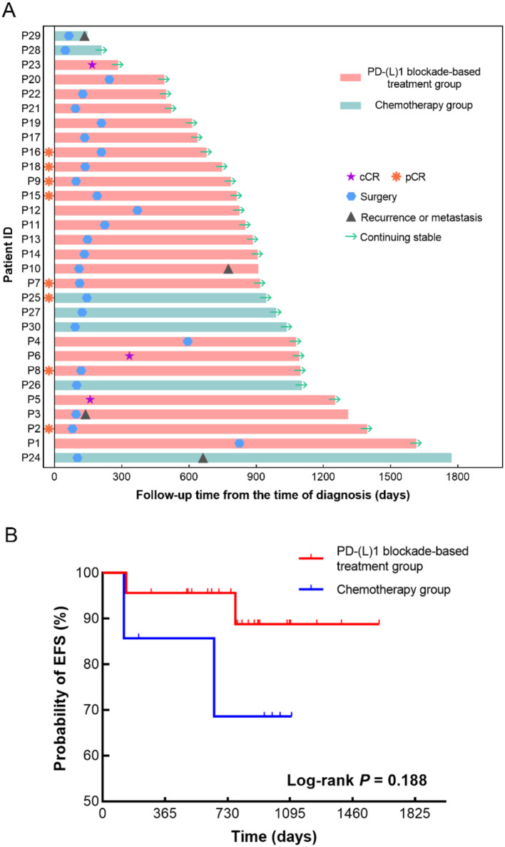 Neoadjuvant PD-(L)1 blockade with or without chemotherapy versus chemotherapy alone in mismatch ...