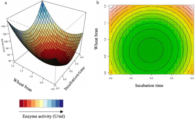 Optimization, purification, and characterization of xylanase production by a newly isolated ...