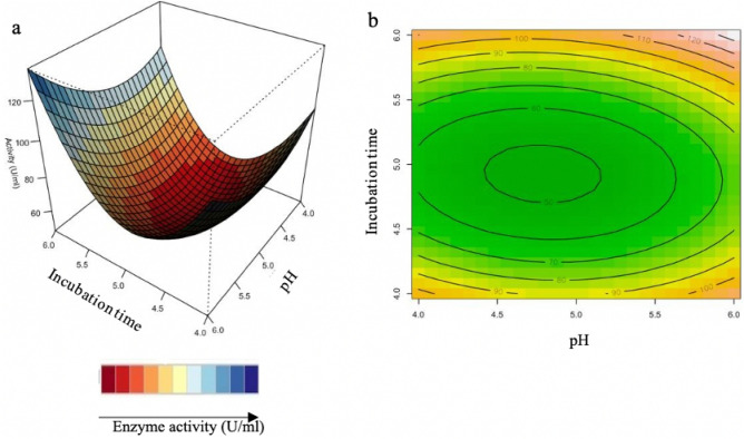 Optimization, purification, and characterization of xylanase production by a newly isolated ...