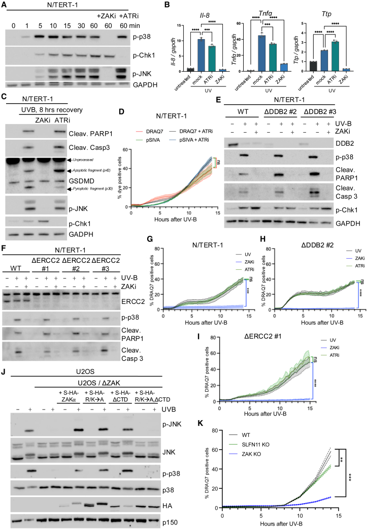 Figure 6