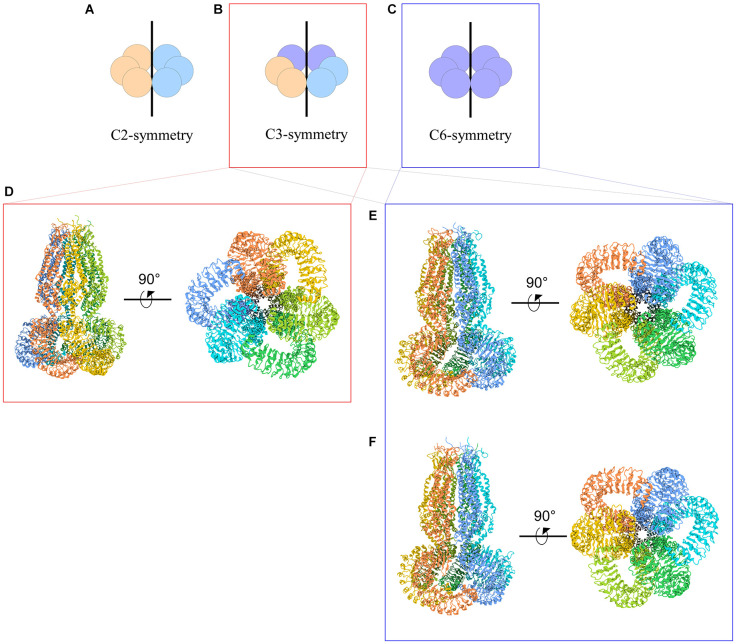 Structure-function relationships of the LRRC8 subunits and subdomains of the volume-regulated ...