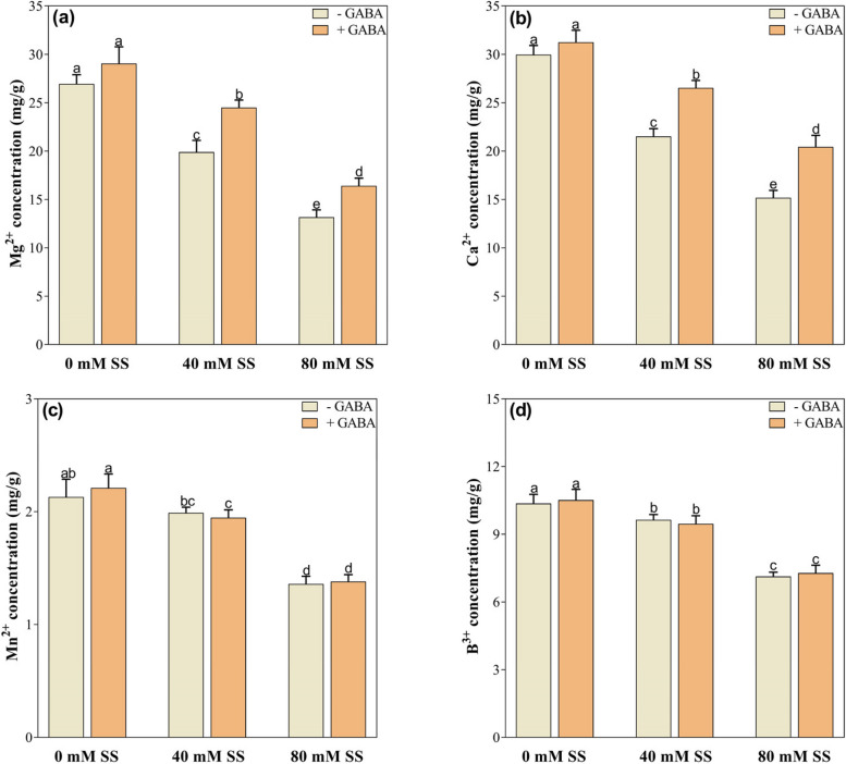 Gamma-aminobutyric acid (GABA) improves salinity stress tolerance in soybean seedlings by ...