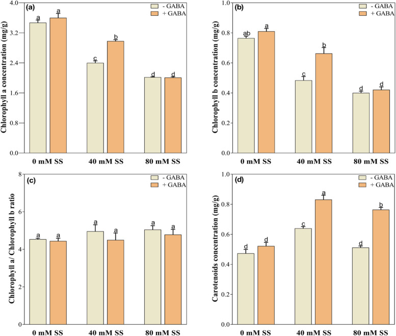 Gamma-aminobutyric acid (GABA) improves salinity stress tolerance in soybean seedlings by ...