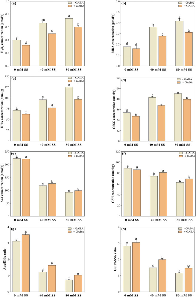 Gamma-aminobutyric acid (GABA) improves salinity stress tolerance in soybean seedlings by ...