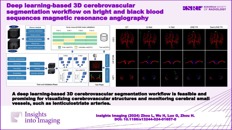 Deep learning-based 3D cerebrovascular segmentation workflow on bright and black blood sequences ...