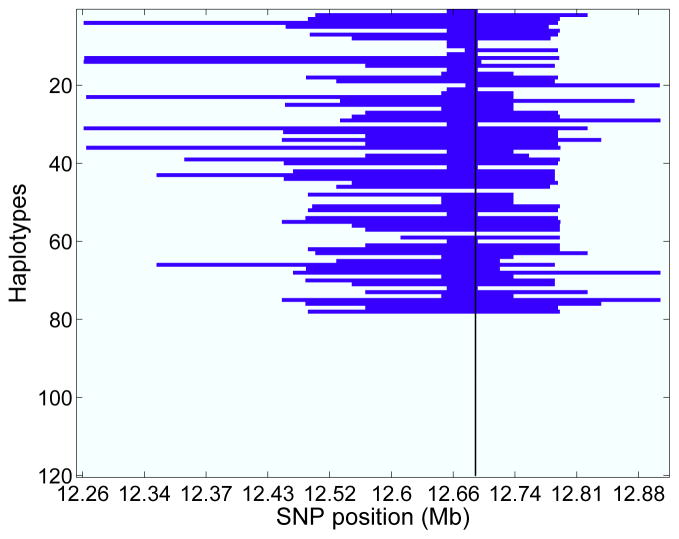 A Hidden Markov Model for Investigating Recent Positive Selection through Haplotype Structure - PMC